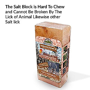 Himalayan Nature Licking Salt for Deer - 2 Pack