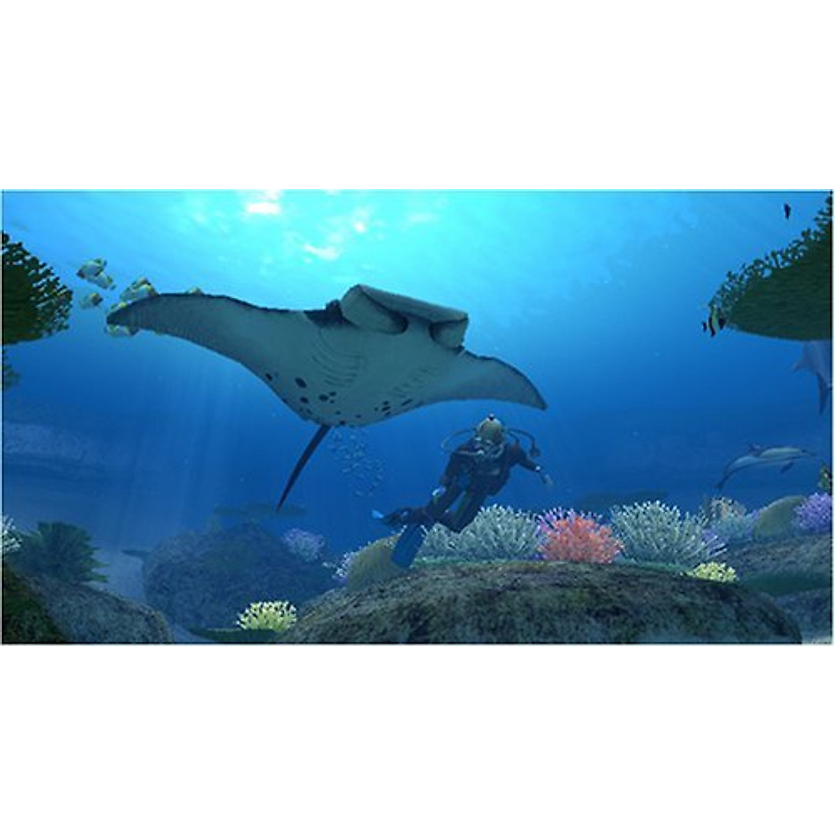 Endless Ocean: Dive, Discover, Dream (Renewed)