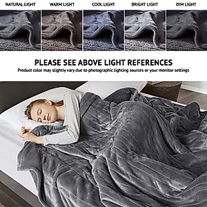 Beautyrest Heated Microlight to Berber Elect Electric Blanket with Two 20 Heat Level Setting Controllers, Queen: 84x90, Grey,BR54-0418