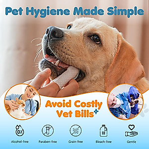 OOHAYA 3-in-1 Pet Finger Wet Wipes for Dogs & Cats, Soft Disposable Finger Wipes for Eye, Ear, & Dental Care, Freshen Breath with Dental Finger Wipes, Pack of 50