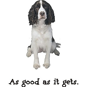 CafePress Good Springer Spaniel Mug Ceramic Coffee Mug, Tea Cup 11 oz