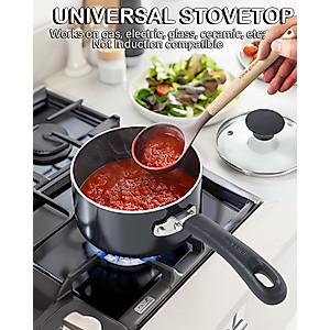 Cook N Home Nonstick Sauce Pan Set 1Qt and 2Qt, Multi-purpose Pots Set Saucepan Kitchenware with Glass Lid, Black, Aluminum