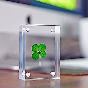 Clovers Online Genuine Preserved Four Leaf Clover Suspended in a Modern Minimalistic Clear Thick Acrylic Free Standing Block Frame for Tabletop or Desktop Decor