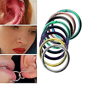 TOPBRIGHT 6 Pcs a Set Seamless Septum Rings Clicker 16G Stainless Steel Hinged Segment Rings for Daith and Lip Piercing (8mm)…