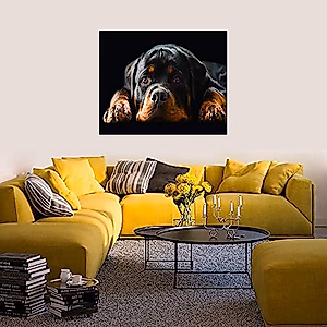 5D Diamond Painting by Number Kit for Adult, DIY Full Drill Rottweiler Embroidery Rhinestone Painting Home Wall Decor Arts Craft Gift 16x20 inch