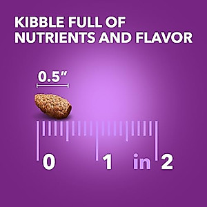 IAMS Advanced Health Immune Health Adult Dry Dog Food Chicken & Exclusive Superfoods Medley Recipe, 6 lb. Bag