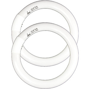 CHKADAWA FC9T9 9 inch Circline Light Bulbs T9 30W, FCL30 Circular Fluorescent Lamp Round 30 Watts Bulb Replacement for Ceiling Fan Fixture, Daylight DL 6500K, G10q 4 Pin Base, 2 Pack