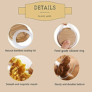 TANGLONG Glass Jars With Bamboo Lids Set, Glass Jars With Wood Lids 8 oz, Large Spice Jars, Glass Storage Containers For Pantry , Cookie, And Coffee SET OF 16
