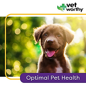 Vet Worthy Puppy MultiVitamins - Multivitamin for Puppies to Support Optimum Health & Overall Wellness - Dog Supplement with Iron,Magnesium,Zinc,Vitamin A,B Vitamins - Liver Flavor,60 Chewable Tablets