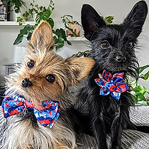 H&K Pet Pinwheel | American Tie Dye (Small) | 4th of July Velcro Collar Accessory for Dogs/Cats | Fun Pet Pinwheel Collar Attachment | Cute, Comfortable Pet Accessory