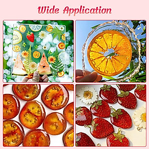 60+ Pieces Dried Pressed Flowers Fruits Set, Real Flowers Fruits for Resin, Natural Fruits Flowers Kit for Crapbooking DIY Art Crafts, Epoxy Resin Jewelry Molds, Candle, Soap Making, Nails DéCor