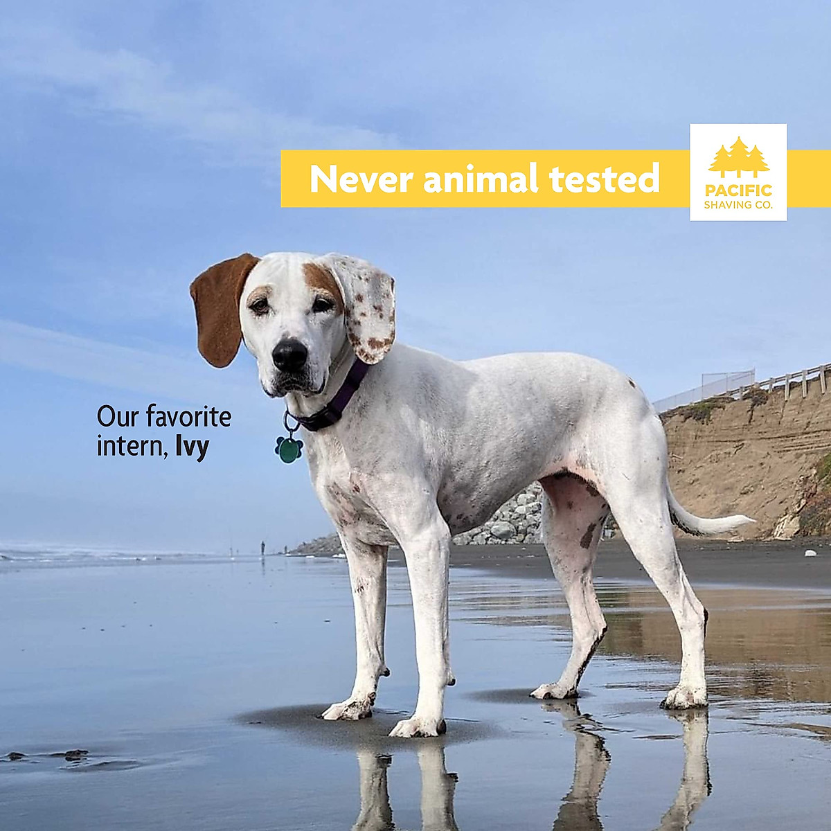 Pacific Shaving Company COLORFUL Shaving Cream, Shave with Purpose - Safe & Natural Ingredients, Cruelty Free, Made in the USA - 6 Item Bundle (7 oz each)