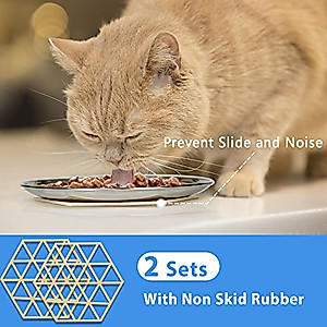 Stainless Steel Cat Dishes for Food and Water Bowls for Small Pets Relief of Whisker Fatigue -2 Sets Shallow Style