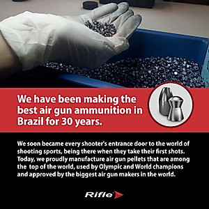 Rifle Hollow Point Slug Air Gun Pellets | .30 Caliber | 7.62 mm | 60.8 gr | Slug Designed for Target Shooting and Hunting | 100 Count