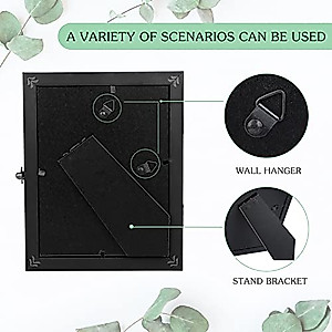 2 Pcs Insect Display Case Collection Shadow Boxes Butterfly Box with Clear Top EVA Foam Pinning Board and 300 Pcs 3 Sizes Insect Pins Insect Pinning Kit for Specimen, 7.87 x 6.3 x 2.05 Inch (Black)