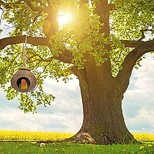 kathson Natural Coconut Shell Bird Nest,Hanging Coco Birds House,Parrots Hide Hut Habitats Decor,Parrot Cage Accessories for Lovebirds Cockatiel Canary Budgies,Feeder Spoon,4 Toy Balls(6 Pcs)