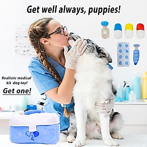 wowmolly Medicine Box Design Plush Chew Dog Toys Including Syringe 3 Pills Tablet Pill Potion Bottle Squeaky Interactive Custom Stuff Pet Toy for Small, Medium Dogs