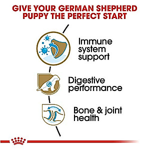 Royal Canin Breed Health Nutrition German Shepherd Puppy Dry Dog Food, 30 lb