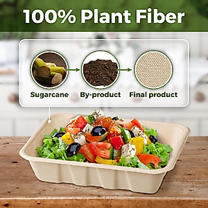 Harvest Pack GOURMET SHOWCASE [400 COUNT] Sugarfiber 32 oz Compostable Disposable Food Container Serving Trays, Rectangle, Made from 100% Eco-Friendly Plant Fibers