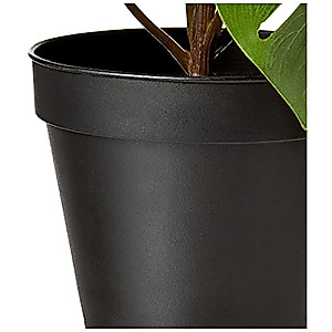 Amazon Basics Artificial Monstera Plant with Plastic Nursery Pot, 13-Inch