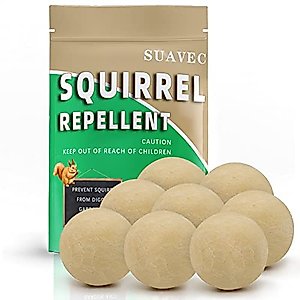 SUAVEC Squirrel Repellent Outdoor, Chipmunk Repellent Outdoor, Squirrel Deterrent Mint, Squirrels Repellent for Garden, Outdoor Repellent Squirrels for Attic, Keep Squirrel Away for Plants -8 Pack