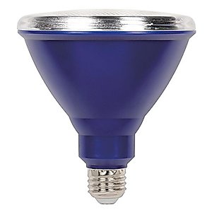 Westinghouse Flood Outdoor Weatherproof LED Light Bulb with Medium Base