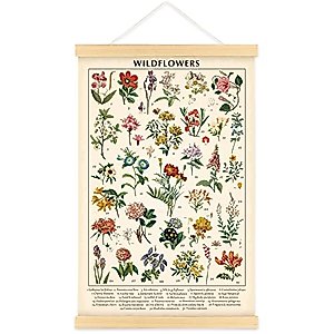 Vintage Wildflowers Poster Botanical Wall Art Prints Colorful Rustic Style of Floral Wall Hanging Illustrative Reference Flower Chart Poster for Living Room Office Bedroom Decor Frame 15.7 x 23.6 Inch