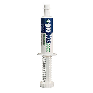 Probios Max Oral Gel Tube, 60cc