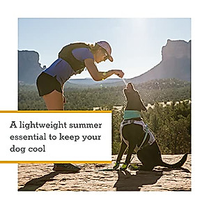 Ruffwear, Swamp Cooler Dog Neck Gaiter, Evaporative Cooling Gear for Hot Weather, Aurora Teal/Heliotrope Purple, Large