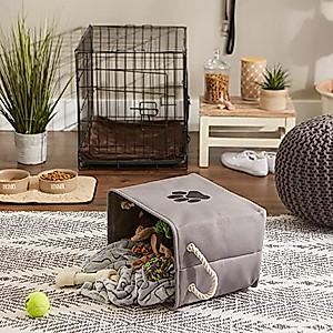 Bone Dry Pet Storage Collection Collapsible Bin, Medium Rectangle, Gray