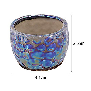 Segreto Succulent Plant Pots Marbling Pattern Flower Pots Ceramic Planter for Cactus Plants Container Bonsai Pots with Bamboo Tray and Drainage Hole for Home Decor,Set of 2