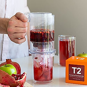 T2 Tea Pumping Pomegranate 3.5 Oz Loose Leaf Fruit Tea In Limited Edition Tin, 3.5 Oz (T130AI082)