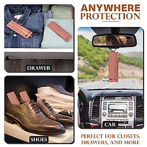 Va Elevate Cedar Blocks Clothes Storage Set - 12 Hangers for Closet Protection | Natural, Long-Lasting Cedar Planks with Essential Oils