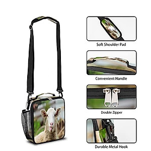 Sheep Lunch Bag for Girls Boys, Cute Sheep Reusable Insulated Lunch Box Leak Proof Lunch Cooler Tote Bag for School Picnic Travel Beach