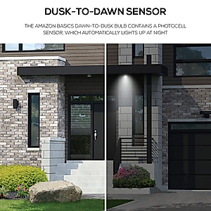 Amazon Basics 60W Equivalent Dusk to Dawn Sensor, Non-Dimmable, A19 LED Light Bulb, Daylight White, 2-Pack