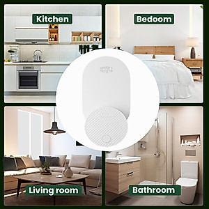 Smart Protector Electronic Fly Trap Kit - 2 Devices + 4 Glue Board Refills - Gnat Traps for Indoor House - Fruit Fly Trap Indoor - Bug Light Trap Indoor