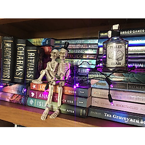 2 Packs of DecoBrite Purple 8ft (2.4m) 20 ct Battery Operated Halloween String Lights with Timer Indoor Outdoor Two Mode Functions on Black Wire for Small Spaces Wreath Room Window Decorations