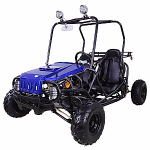 110cc Youth Go Kart Kids Go Cart Gokart 2 Seater Go Kart with Gloves, Google and Handgrip (Black)