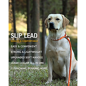 lynxking Dog Leash Slip Lead 5 6 8 FT Dog Training Leash Strong Heavy Duty Braided No Pull Training Lead Leashes for Small Medium Large Dogs