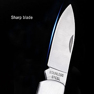 Kocpudu Paring Knife,all Steel Foldable Fruit Knife, All Steel Handle, Fruit Knife Small of Exquisite,small and Easy to Carry,suitable for Most Types of Vegetables and Fruits(3 Pieces)