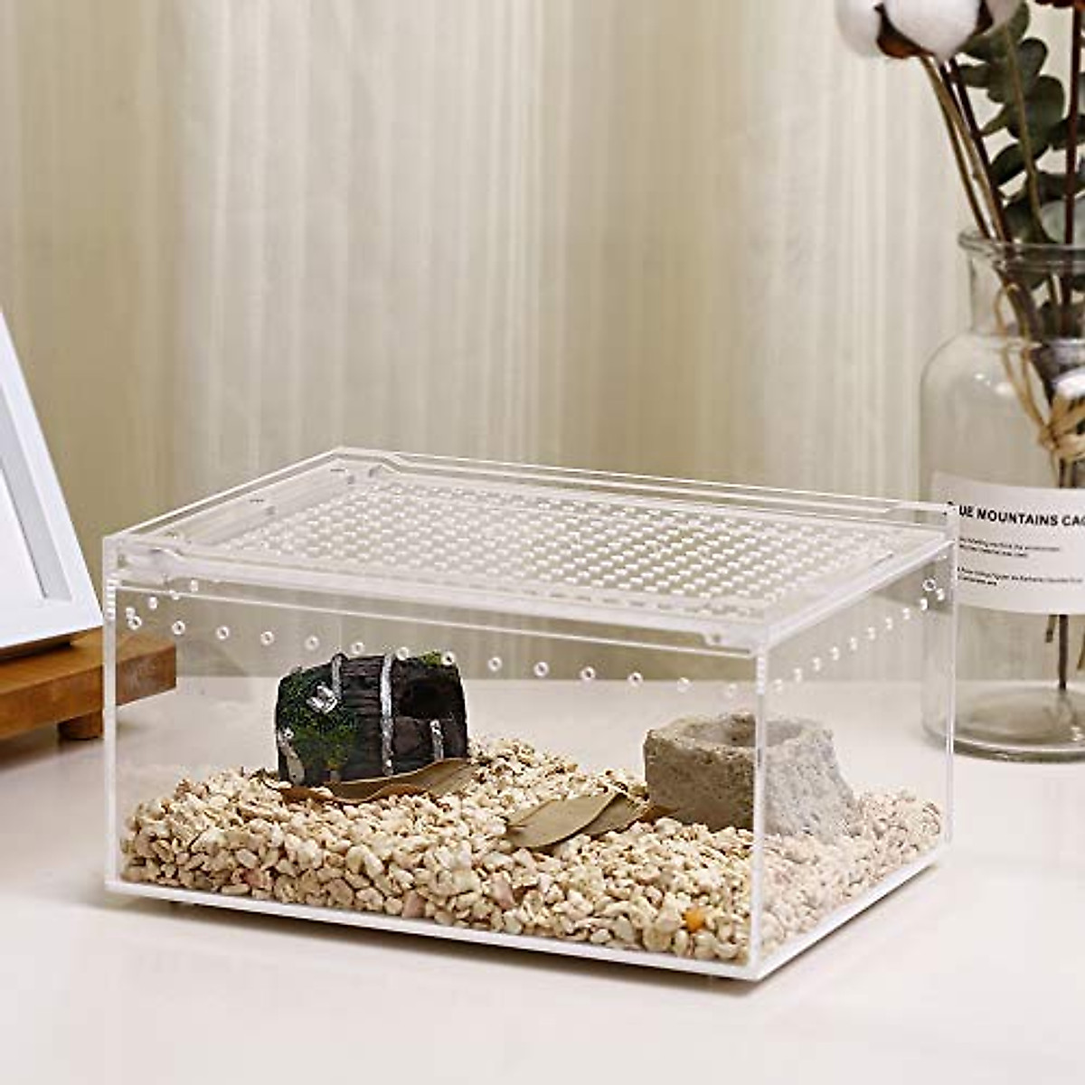 NANEEZOO Magnetic Acrylic Reptile Case - 8"x6"x4" Flat Long Enclosure Transparent Reptile Breeding Box Terrarium Cage - for Tarantula Scorpion Sling Isopods Invertebrates & Insect Mantis