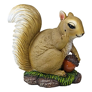 Ebros Gift Large Rude Squirrel Pointing Middle Finger with Acorn Nutty Welcome Guest Greeter Statue 10" Tall Whimsical Woodlands Funny Animal Squirrels Chipmunks Flipping Off Home Decor Figurine