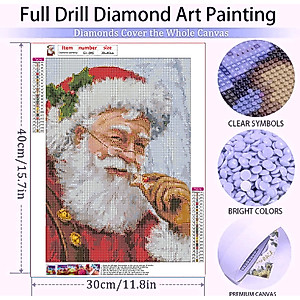 EIBEILI Diamond Painting Kits for Adults Christmas Santa Claus DIY 5D Diamond Art Kits for Kids Beginners Full Drill Diamond Dots Crystal Craft Kits for Home Wall Art Bedroom Decor Gifts 11.8x15.7 in