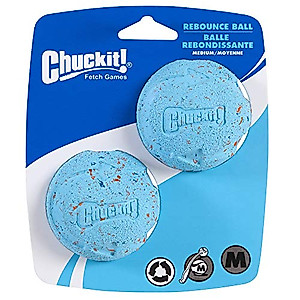 Chuckit! Medium Rebounce Ball 2.5", 2 Pack, Blues & Purples (20320)