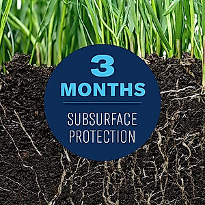 BioAdvanced Complete Insect Killer for Soil and Turf, Ready-to-Spray, 32 oz