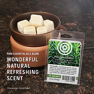 I & Candle, (Set of 4) Eucalyptus / Hibiscus & Citrus / Rose & Lavender / Rosemary & Mint Aromatherapy Wax Melts. 100% Soy Wax Non-GMO. Made in the USA