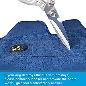 COODEO Dog Surgery Recovery Suit, Waterproof Recovery Suit for Dogs, Surgery Suit for Wounds Protect, Cone Alternative After Surgery, Dog Onesie for Surgery Female or Male (Blue, XS)