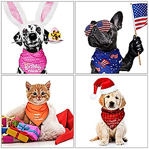 12 Pieces Holiday Dog Bandanas Halloween Dog Scarf Thanksgiving Christmas Birthday Summer Hawaii Daily Festival Costume Supply Pets Dog Scarf Bandana for Dogs Cats Pets Costume (Small)