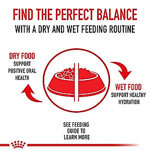 Royal Canin Feline Health Nutrition Mother & Babycat Dry Cat Food for Newborn Kittens and Pregnant or Nursing Cats, 6 lb Bag