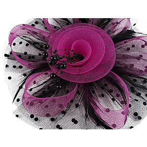 Fascinators for Women Tea Party Headband Kentucky Derby Wedding Cocktail Flower Mesh Feathers Hair Clip (Rose &Black)